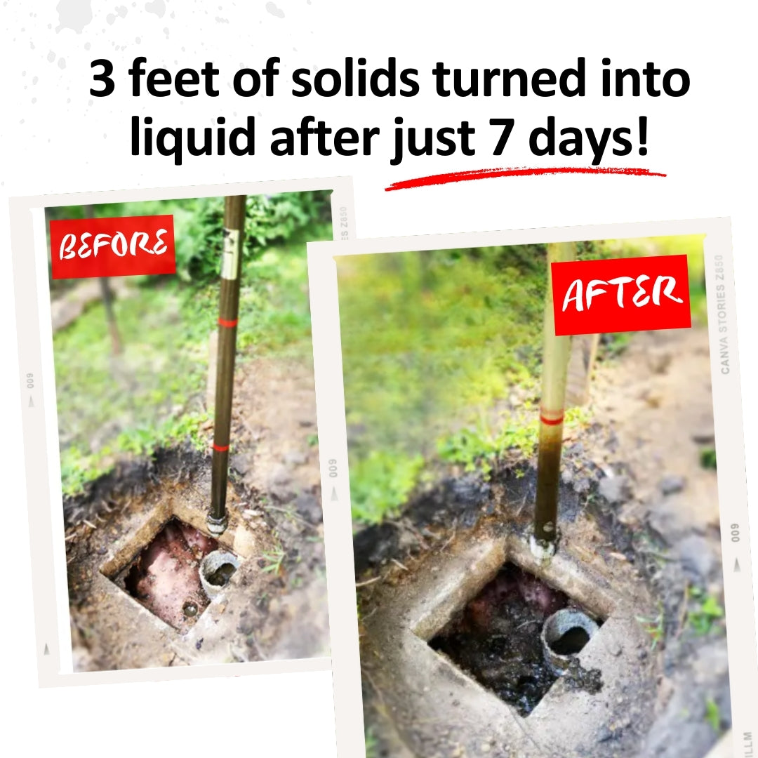 Drain Field Cleaner – DoctorPooper.com