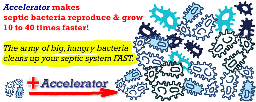 Accelerator by Dr. Pooper – Advanced Septic Tank Cleaner & Maintenance ...