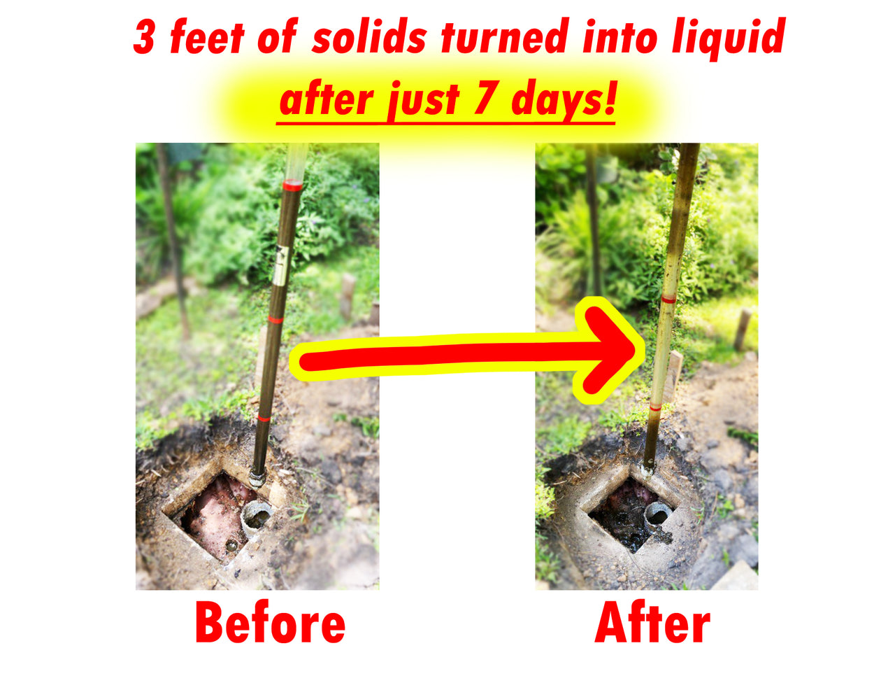 Septic System Care with Dr. Pooper’s Drain Field Cleaner Tablets ...